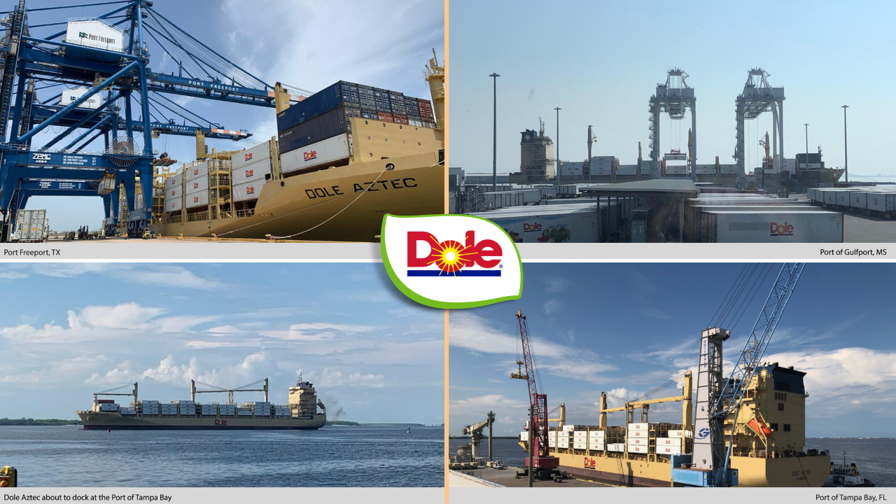 Home [dole.my.site.com]